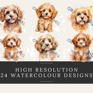 24 PNG Cute Cavoodle Clip Art Collection | High-resolution | Vibrant ...