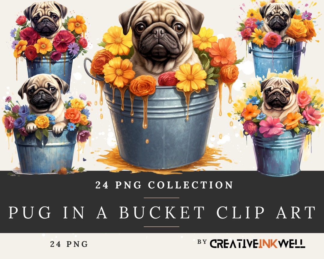 Pug in A Bucket With Flowers Clip Art Collection | 24 PNG Dog Clip Art ...