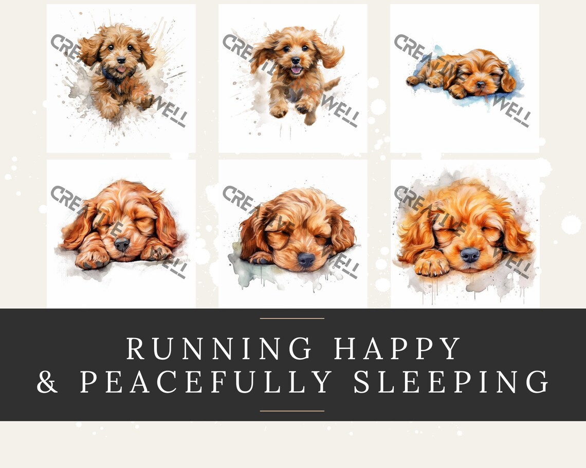 24 JPG Cute Cavoodle Clipart Collection | High-resolution | Vibrant ...