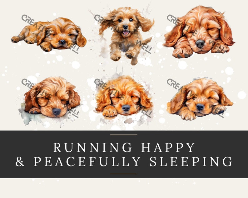 24 PNG Cute Cavoodle Clip Art Collection | High-resolution | Vibrant ...