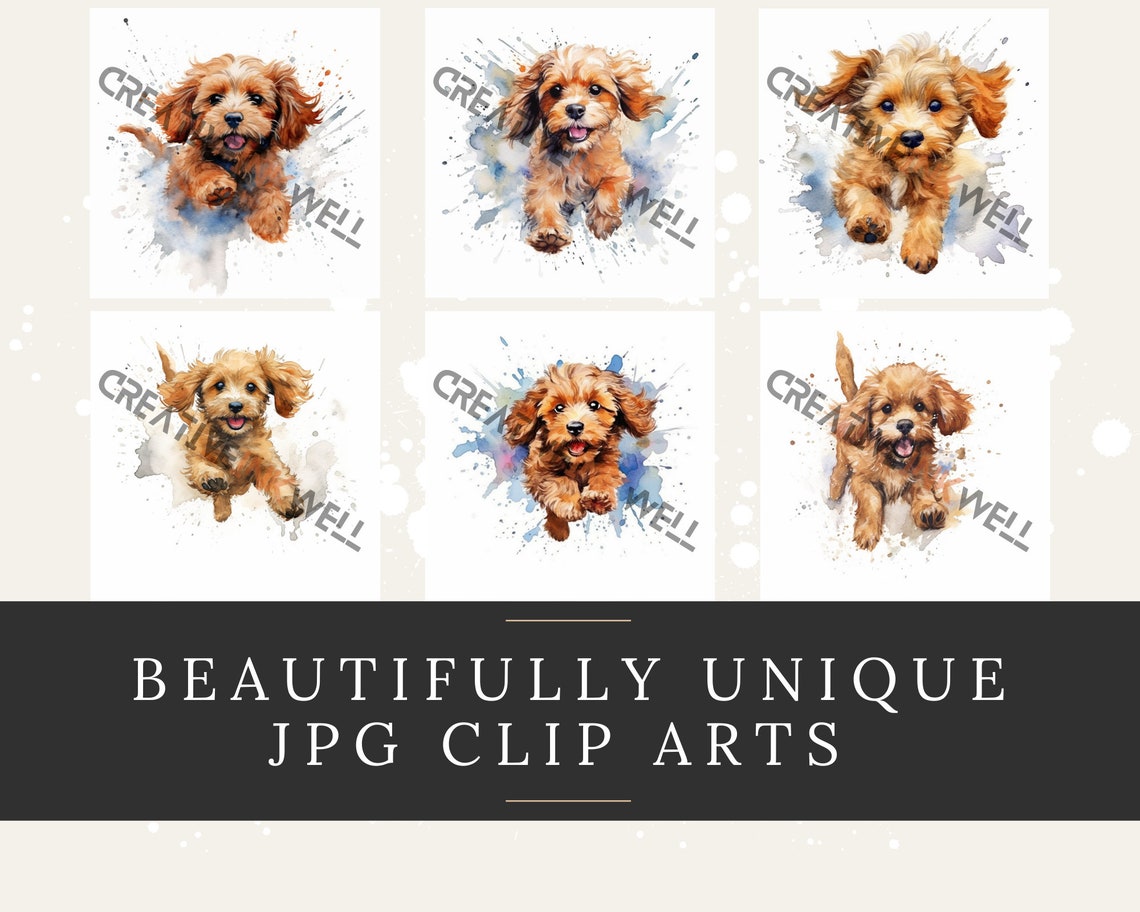 24 JPG Cute Cavoodle Clipart Collection | High-resolution | Vibrant ...