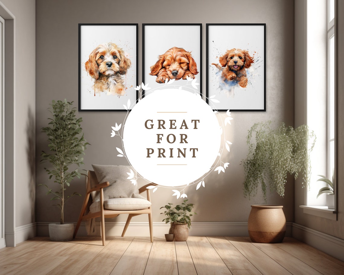 24 PNG Cute Cavoodle Clip Art Collection High-resolution Vibrant ...
