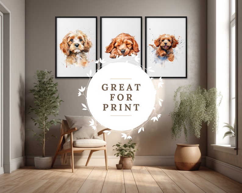 24 PNG Cute Cavoodle Clip Art Collection High-resolution Vibrant ...