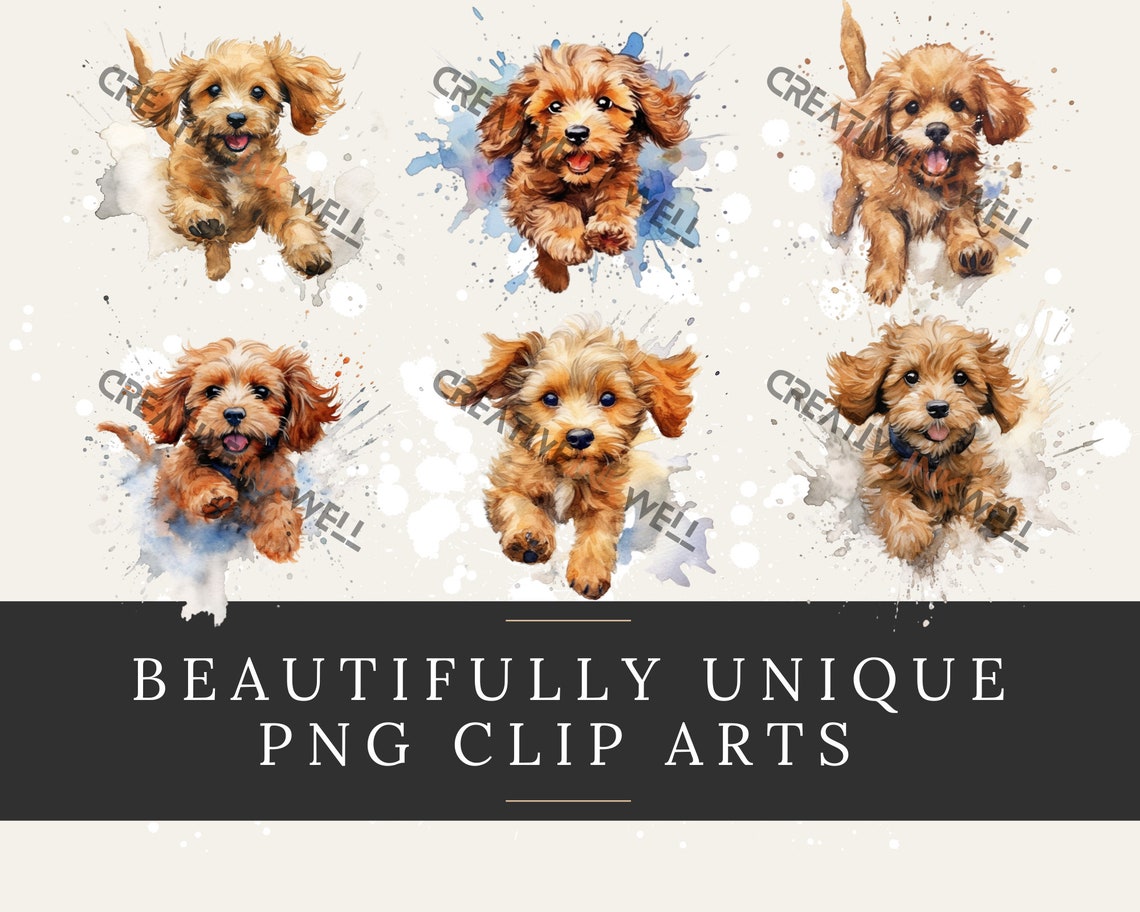 24 PNG Cute Cavoodle Clip Art Collection High-resolution Vibrant ...