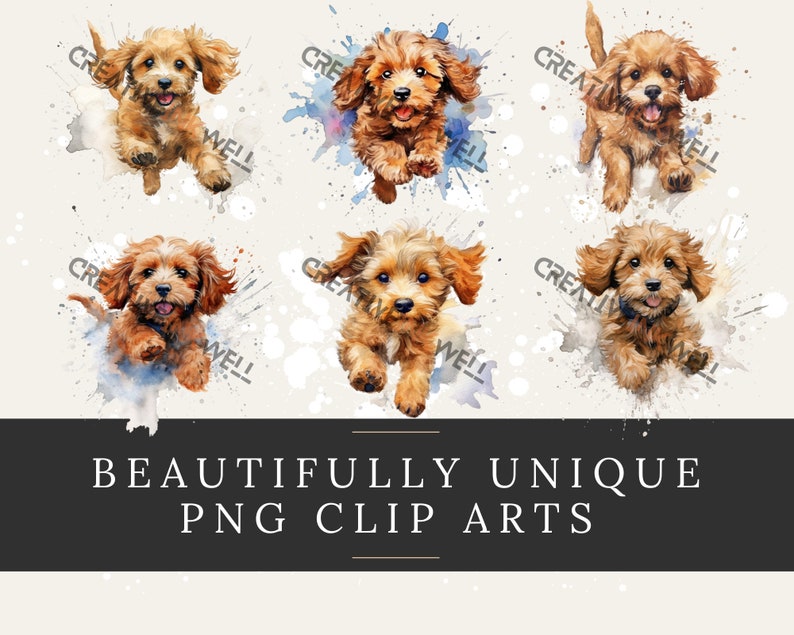 24 PNG Cute Cavoodle Clip Art Collection | High-resolution | Vibrant ...
