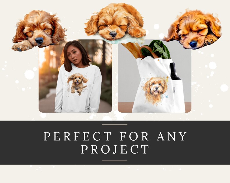 24 PNG Cute Cavoodle Clip Art Collection | High-resolution | Vibrant ...