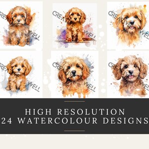 24 JPG Cute Cavoodle Clipart Collection | High-resolution | Vibrant ...