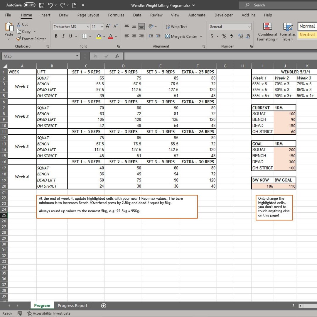 Wendler Weight Lifting Program Excel Template - Etsy