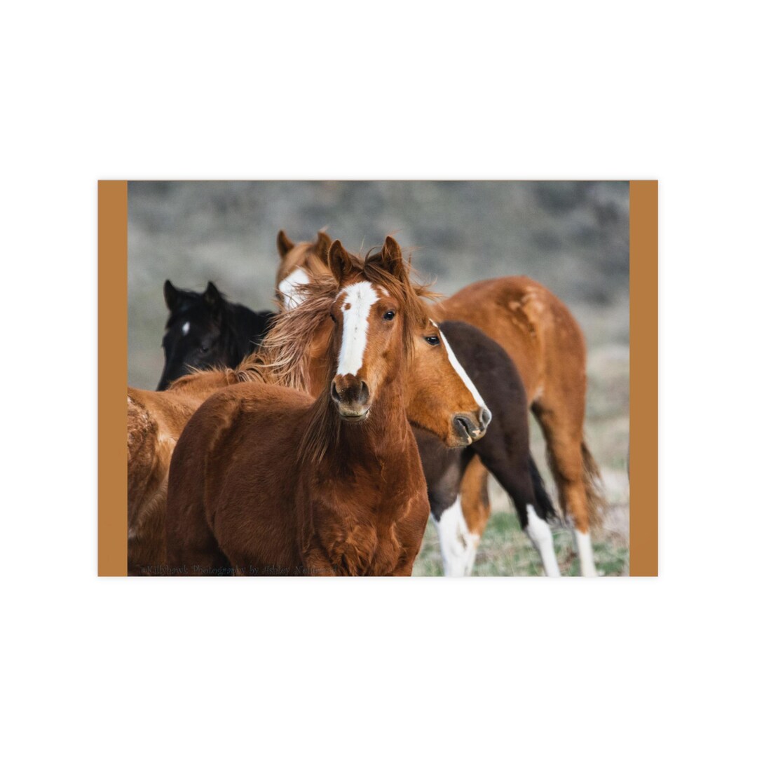 Faces of Wild Mustangs Landscape Posters, Wall Art, Gift for Him, Gift ...
