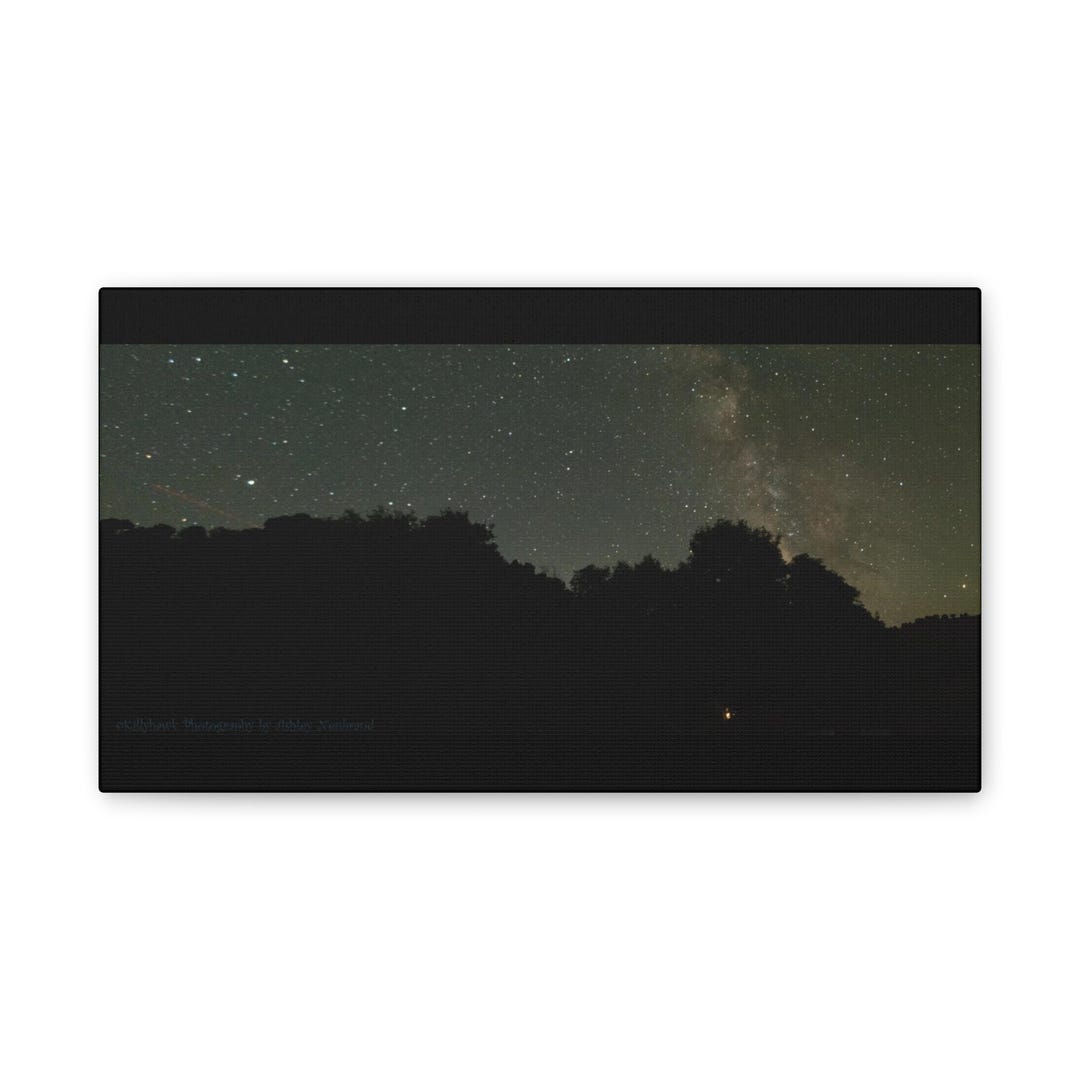 Milky Way Nightscape Canvas, Forest Silhouette Wall Art - Etsy