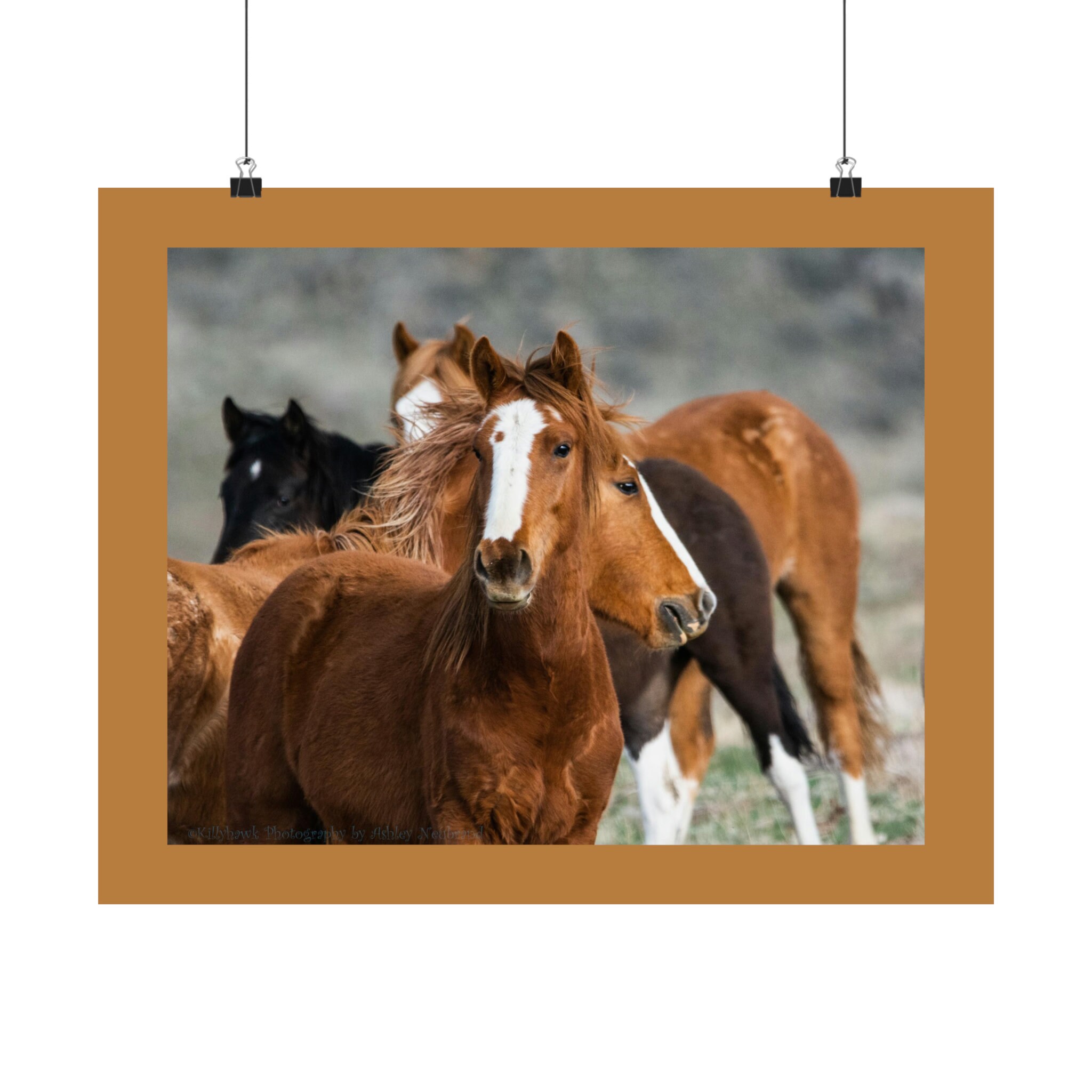 Faces of Wild Mustangs Premium Matte Horizontal Posters - Etsy