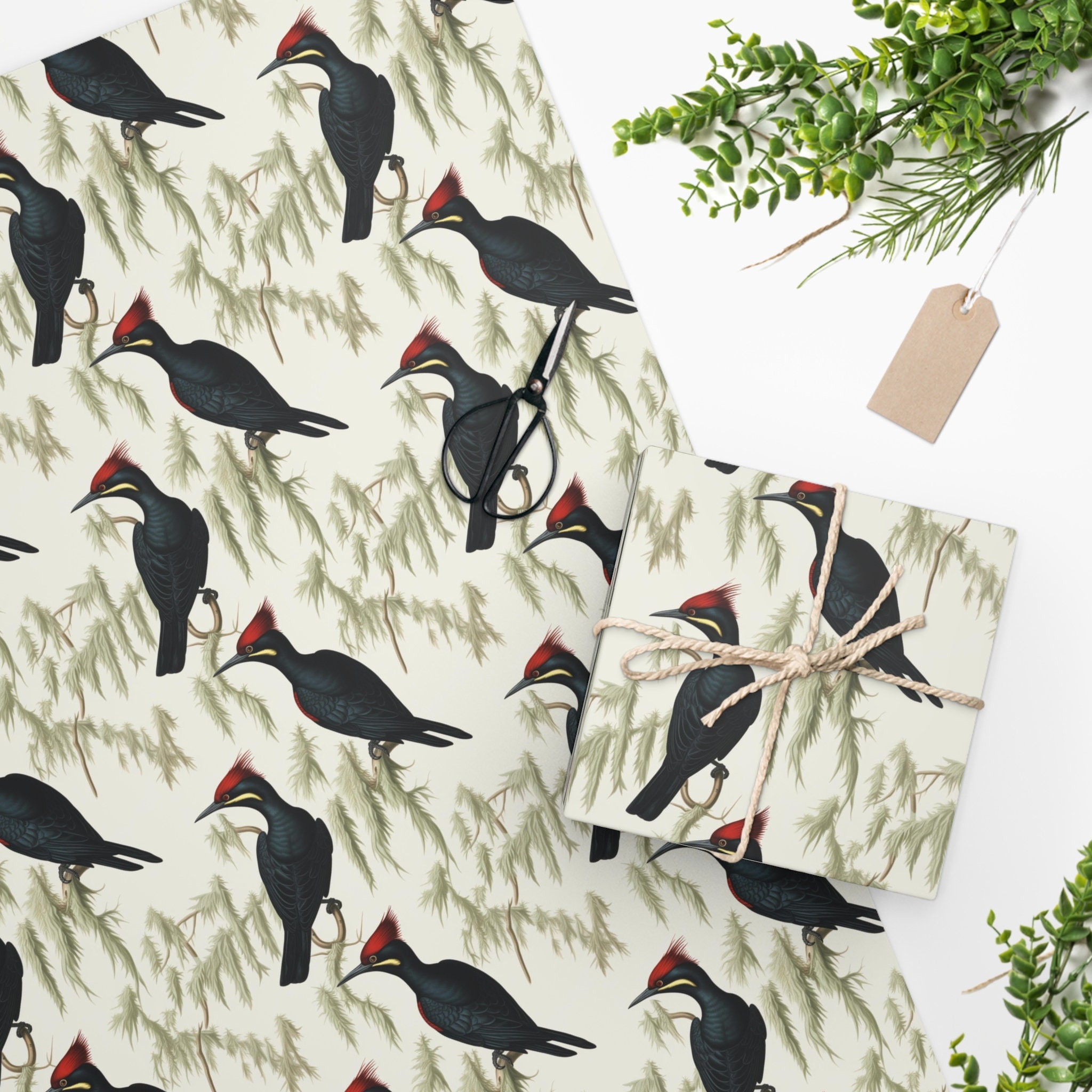 Woodpeckers SEAMLESS Patterns Printable Vintage Birds Illustration ...