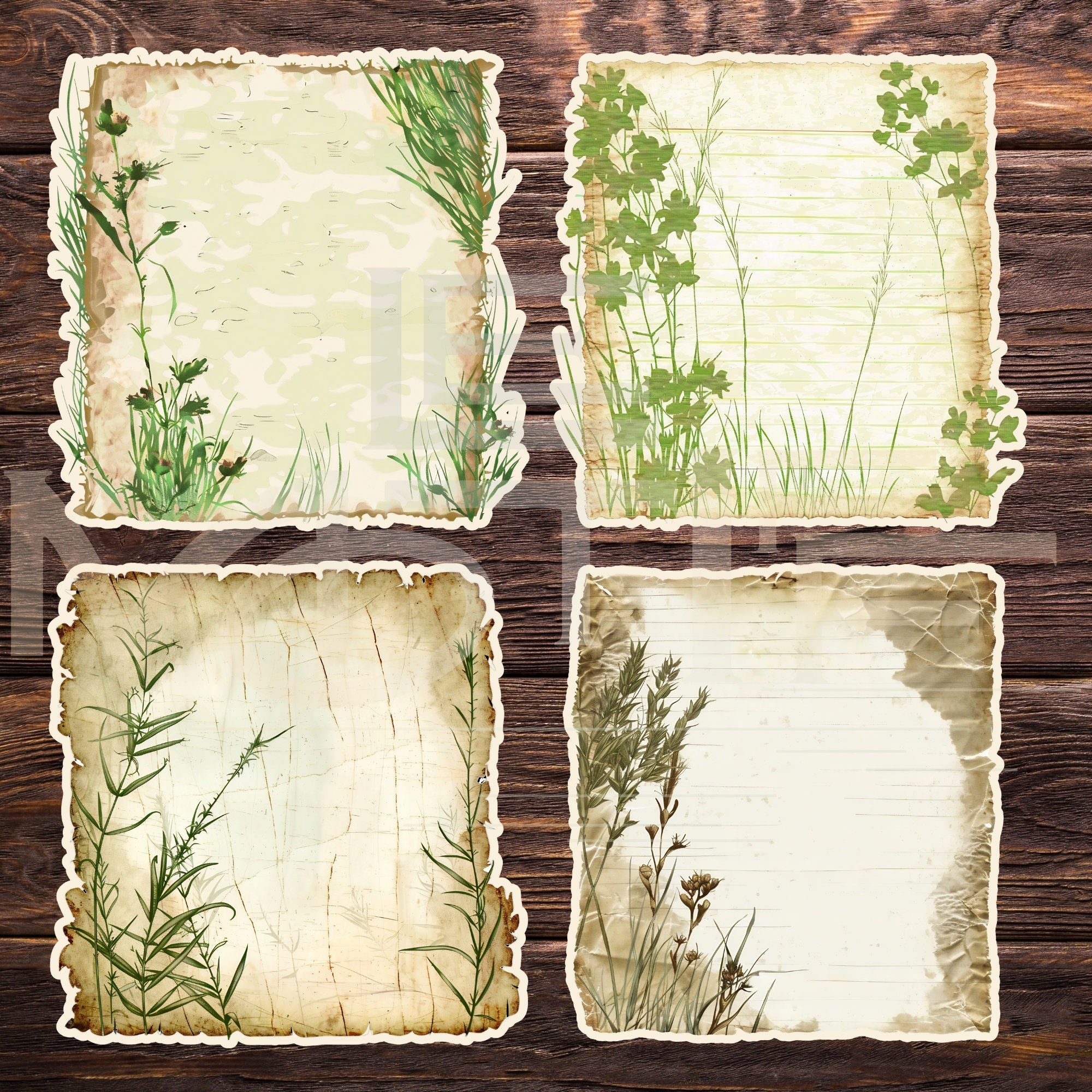 Grass Border Shabby Lined Notes FUSSY CUTS, PRINTABLE Rustic Parchment ...