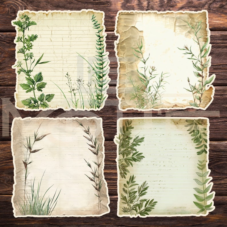 Grass Border Shabby Lined Notes FUSSY CUTS, PRINTABLE Rustic Parchment ...
