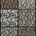 Rustic Tree Bark Textures, Wooden Digital Paper (digital Download) - Etsy