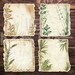 Grass Border Shabby Lined Notes FUSSY CUTS, PRINTABLE Rustic Parchment ...