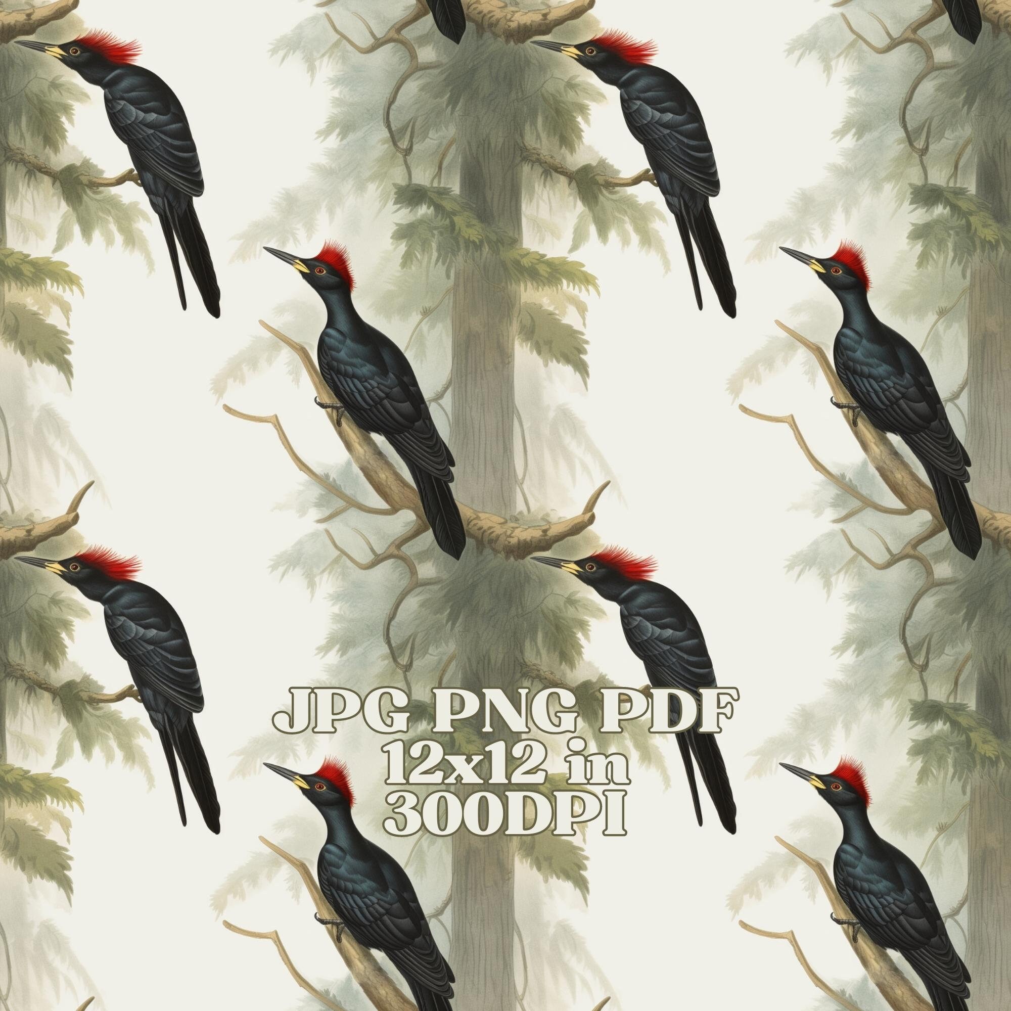 Woodpeckers SEAMLESS Patterns Printable Vintage Birds Illustration ...