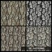 Rustic Tree Bark Textures, Wooden Digital Paper (digital Download) - Etsy