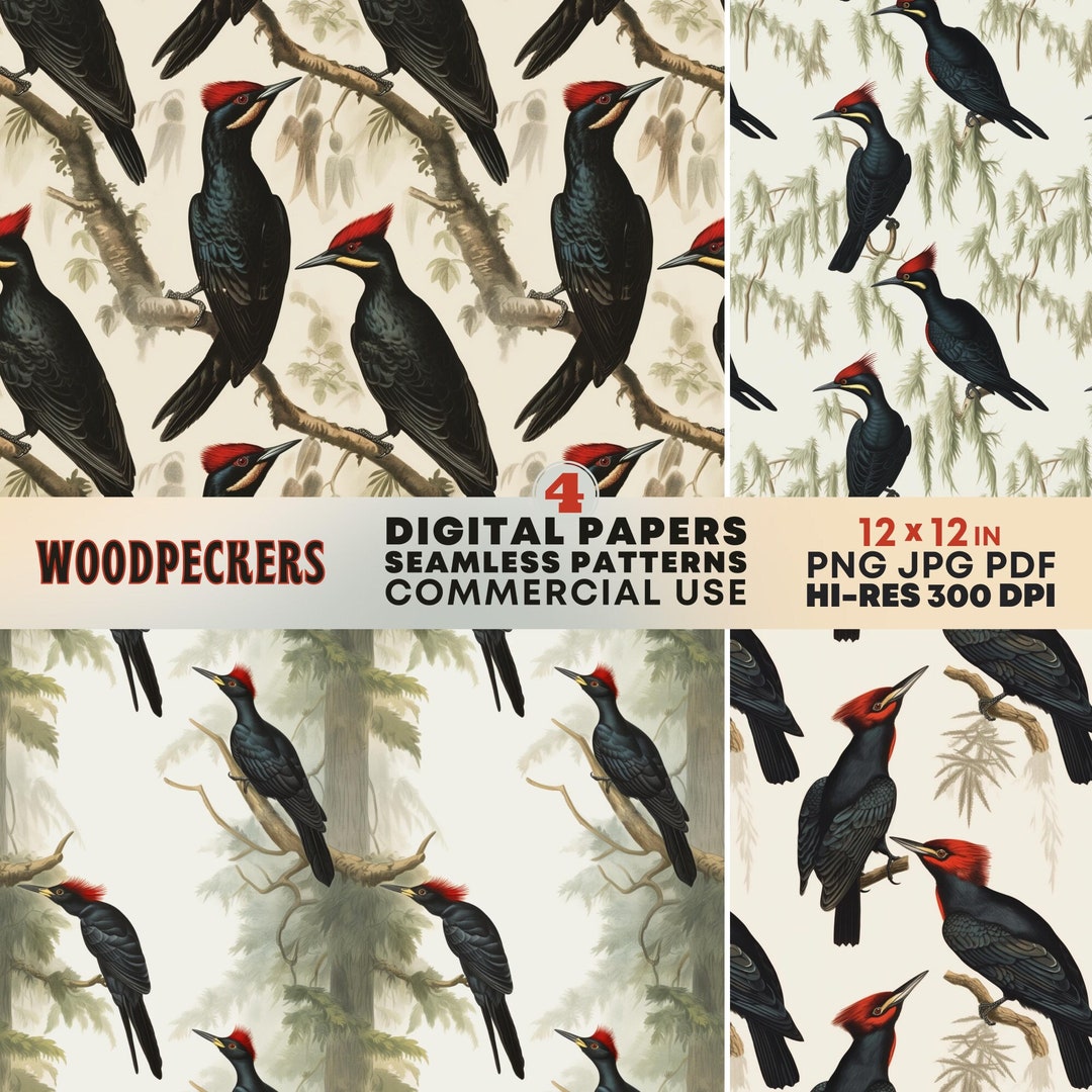 Woodpeckers SEAMLESS Patterns Printable Vintage Birds - Etsy