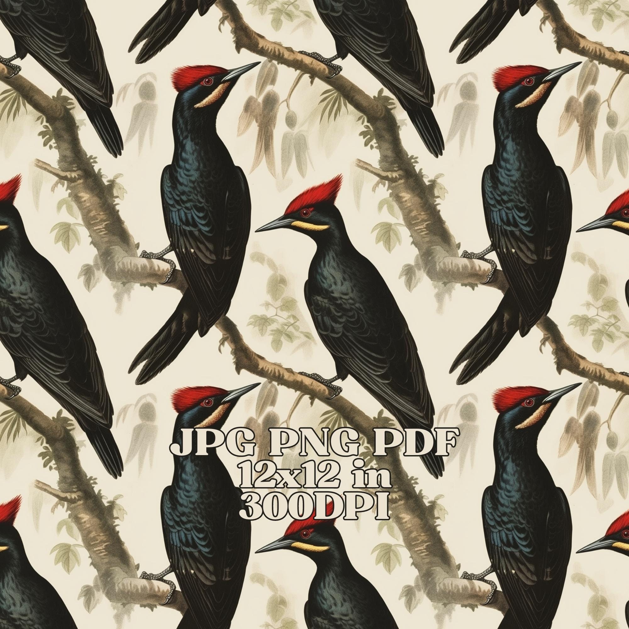 Woodpeckers SEAMLESS Patterns Printable Vintage Birds Illustration ...