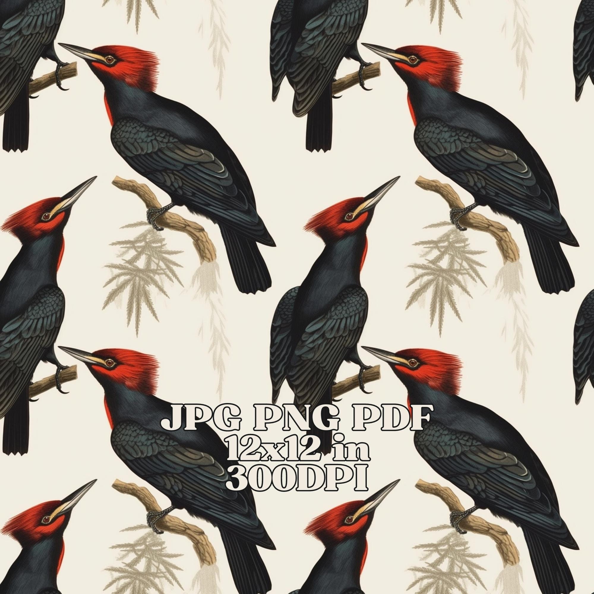 Woodpeckers SEAMLESS Patterns Printable Vintage Birds Illustration ...