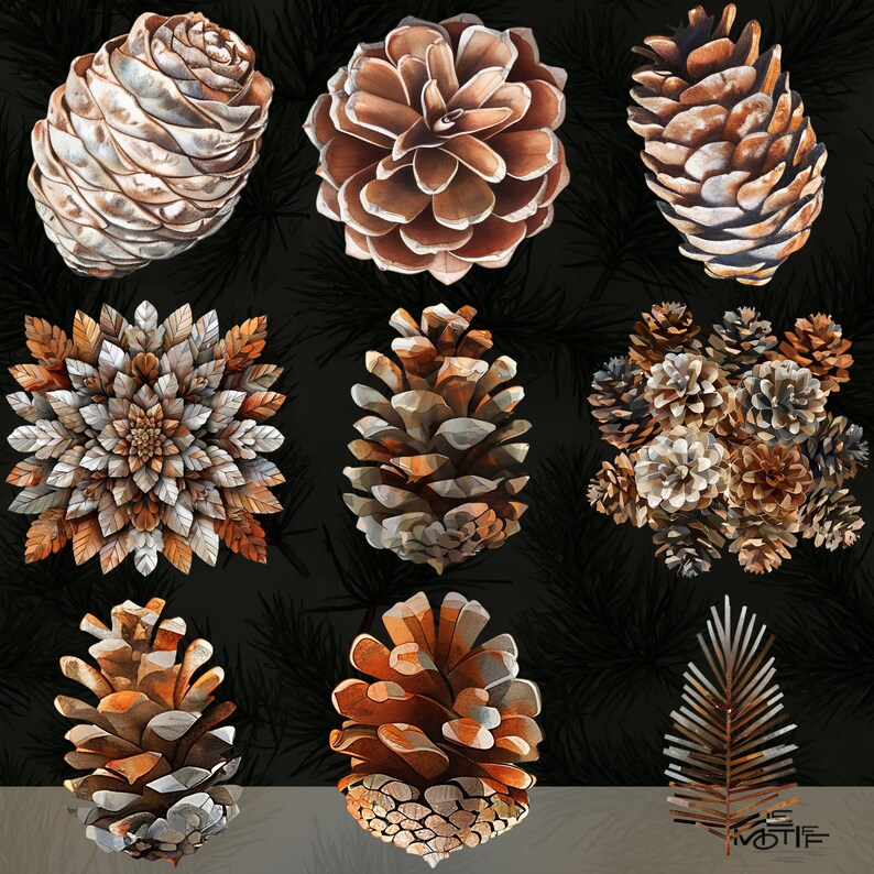 Pine Cones Clipart, Coniferous PNG Stickers (digital Download) - Etsy
