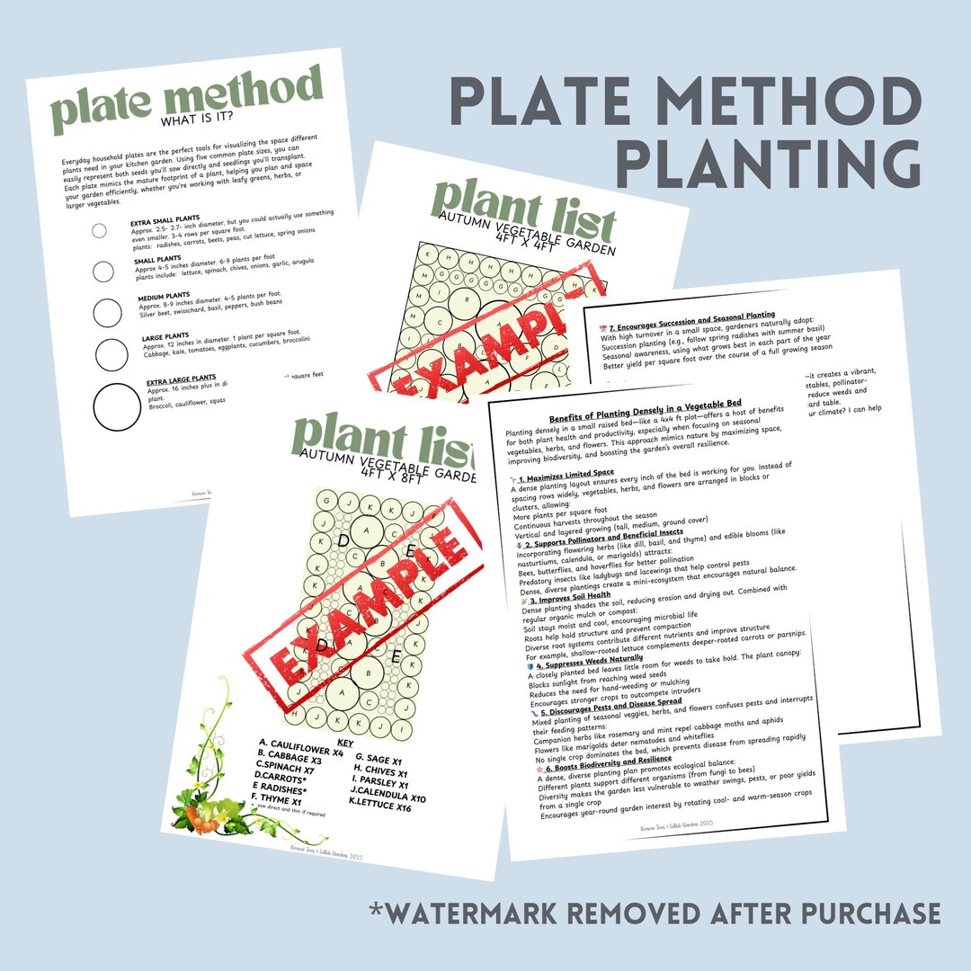 Plate Method Garden Guide | NZ Autumn/winter Companion Planting ...