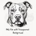 Pitbull SVG and PNG, Pitbull Outline, Pitbull Cut File, Puppy Outline ...