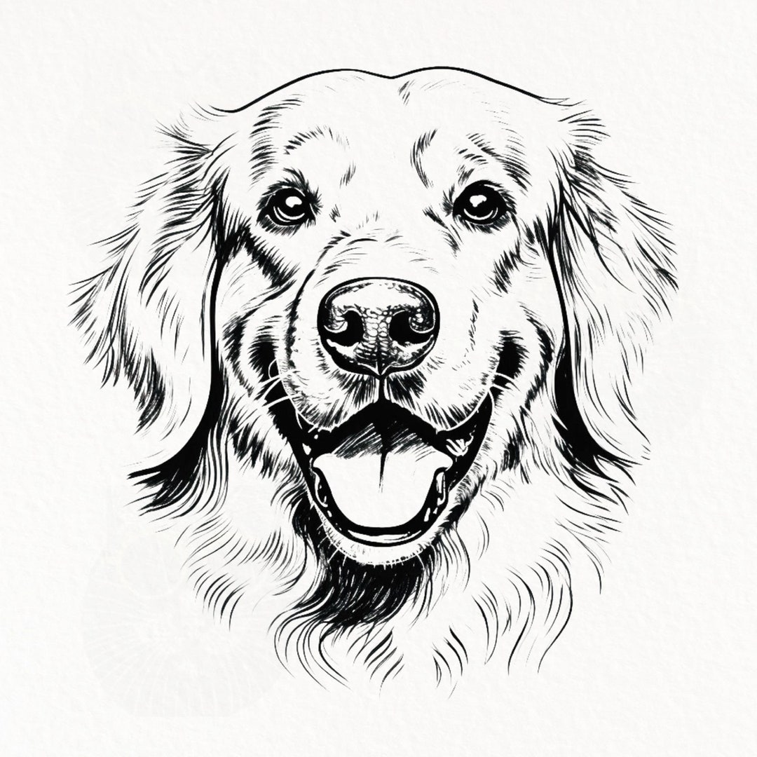 Golden Retriever SVG and PNG, Golden Retriever Outline, Golden ...
