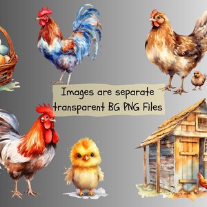 Watercolor Chicken Clipart Cute Chickens Clipart Farm - Etsy