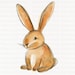 Cute Easter Bunny Clipart, DIGITAL DOWNLOAD, Handdrawn Spring Bunnies ...