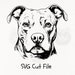 Pitbull SVG and PNG, Pitbull Outline, Pitbull Cut File, Puppy Outline ...