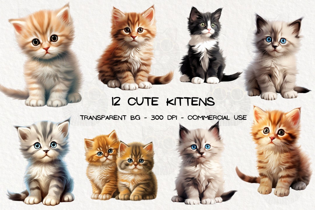 12 Cute Kitten Clipart Pngs, Commercial Use, Digital Download, Paper ...