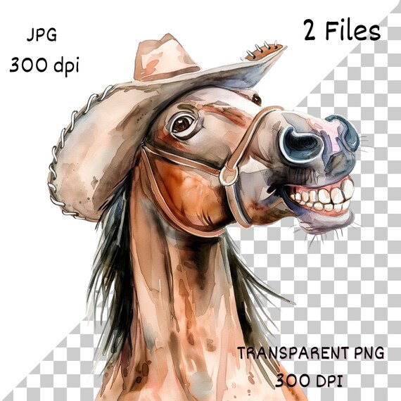 Amazing Horse Graphics