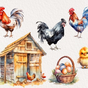 20 Watercolor Chicken Clipart SET, Farm Animals Clipart, Hen Clipart ...