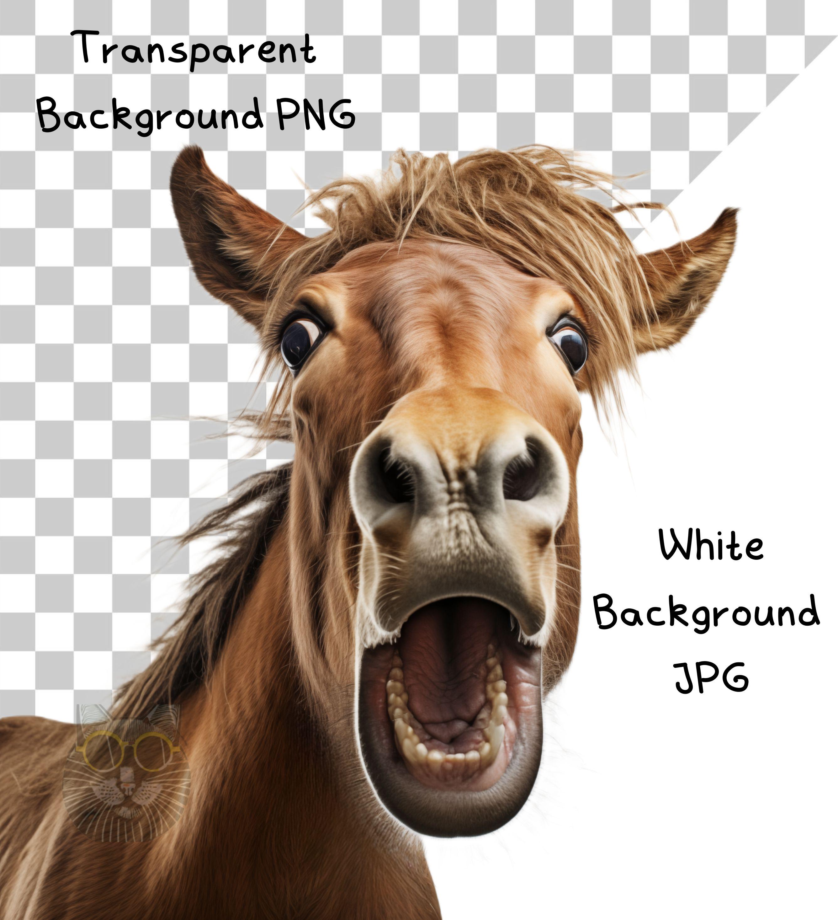 Whimsical Horse Face Clipart - Adorable Neighing Horse PNG, Graphics ...