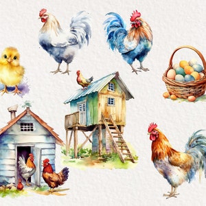 20 Watercolor Chicken Clipart SET, Farm Animals Clipart, Hen Clipart ...