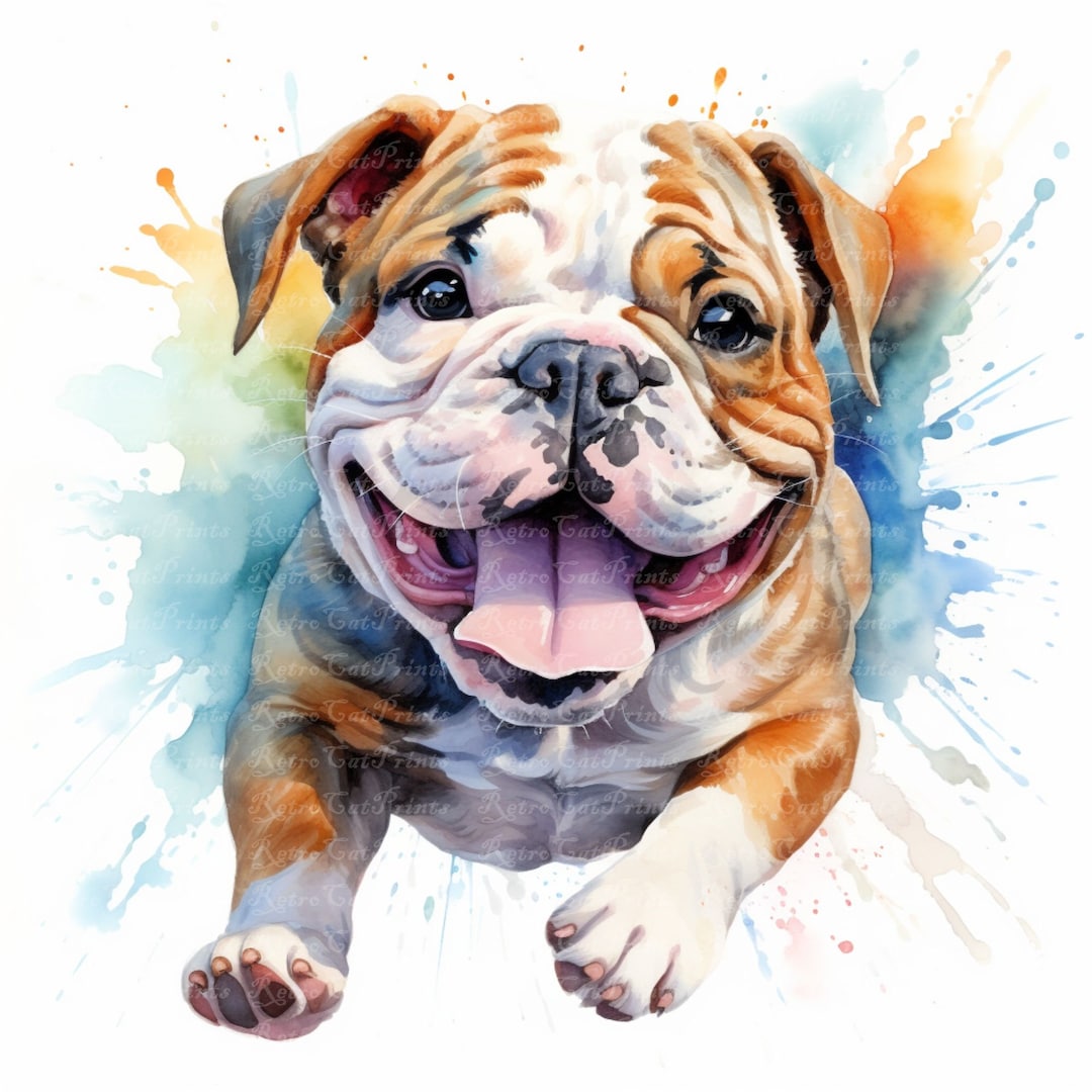 Watercolor English Bulldog Clipart, Bulldog Clipart, Cute Bulldog Clip ...