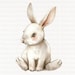 Cute Easter Bunny Clipart, DIGITAL DOWNLOAD, Handdrawn Spring Bunnies ...