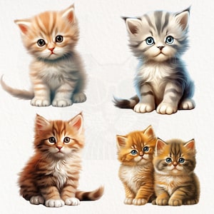 12 Cute Kitten Clipart Pngs, Commercial Use, Digital Download, Paper ...