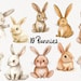 Cute Easter Bunny Clipart, DIGITAL DOWNLOAD, Handdrawn Spring Bunnies ...