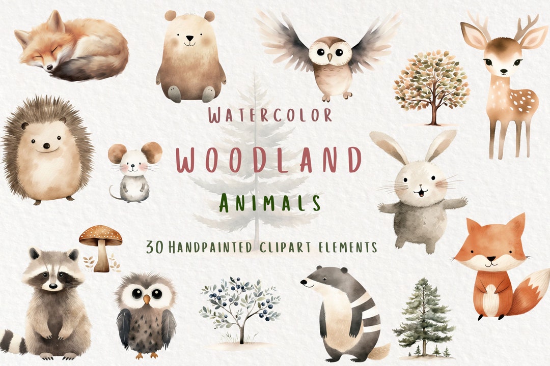 Woodland Animals Clipart, Watercolor Woodlands Clipart, Watercolor ...