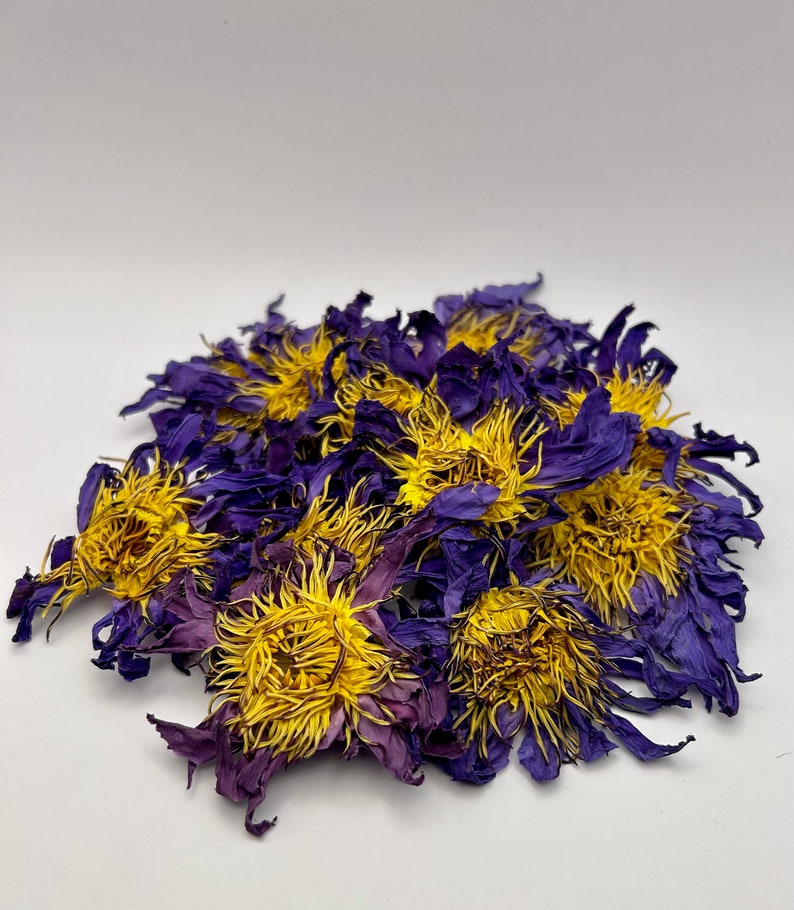 Elixir Oil Organic Blue Lotus Flowers 30ml Egyptian Dream Ritual Herb ...