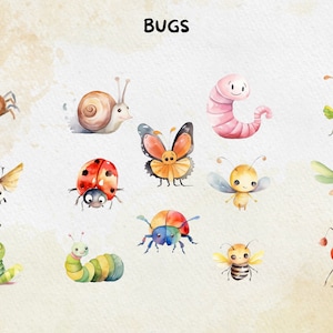 Watercolor Bugs Clipart, Watercolor Insects, Butterfly Clipart, Spring ...