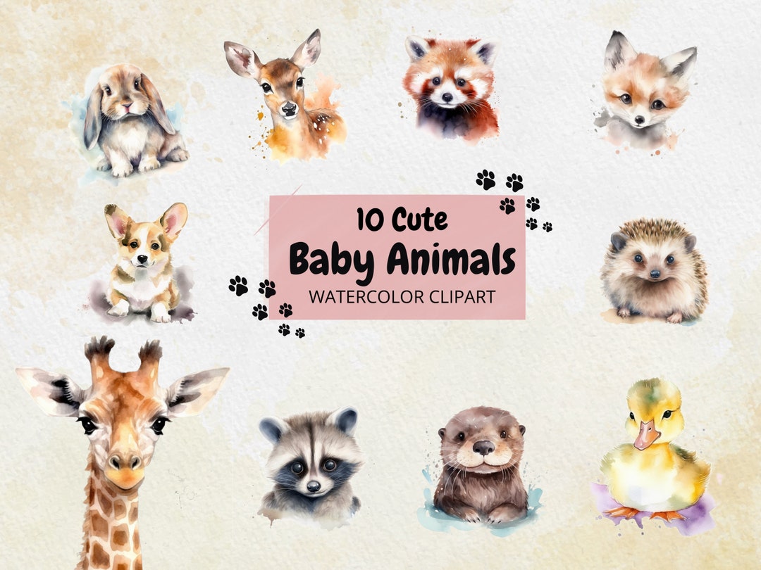 Watercolor Cute Baby Animals, Baby Shower, Nursery Art, Clipart, PNG - Etsy