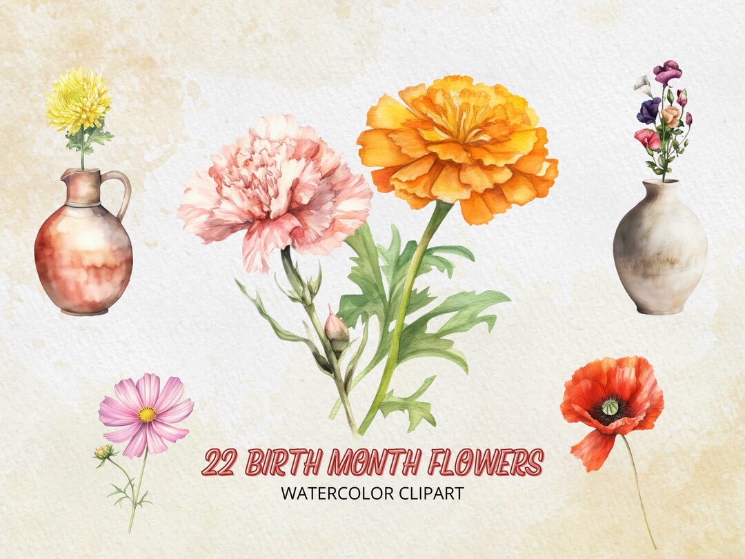 Watercolor Birth Month Flowers Clipart Set, Watercolor Floral PNG ...