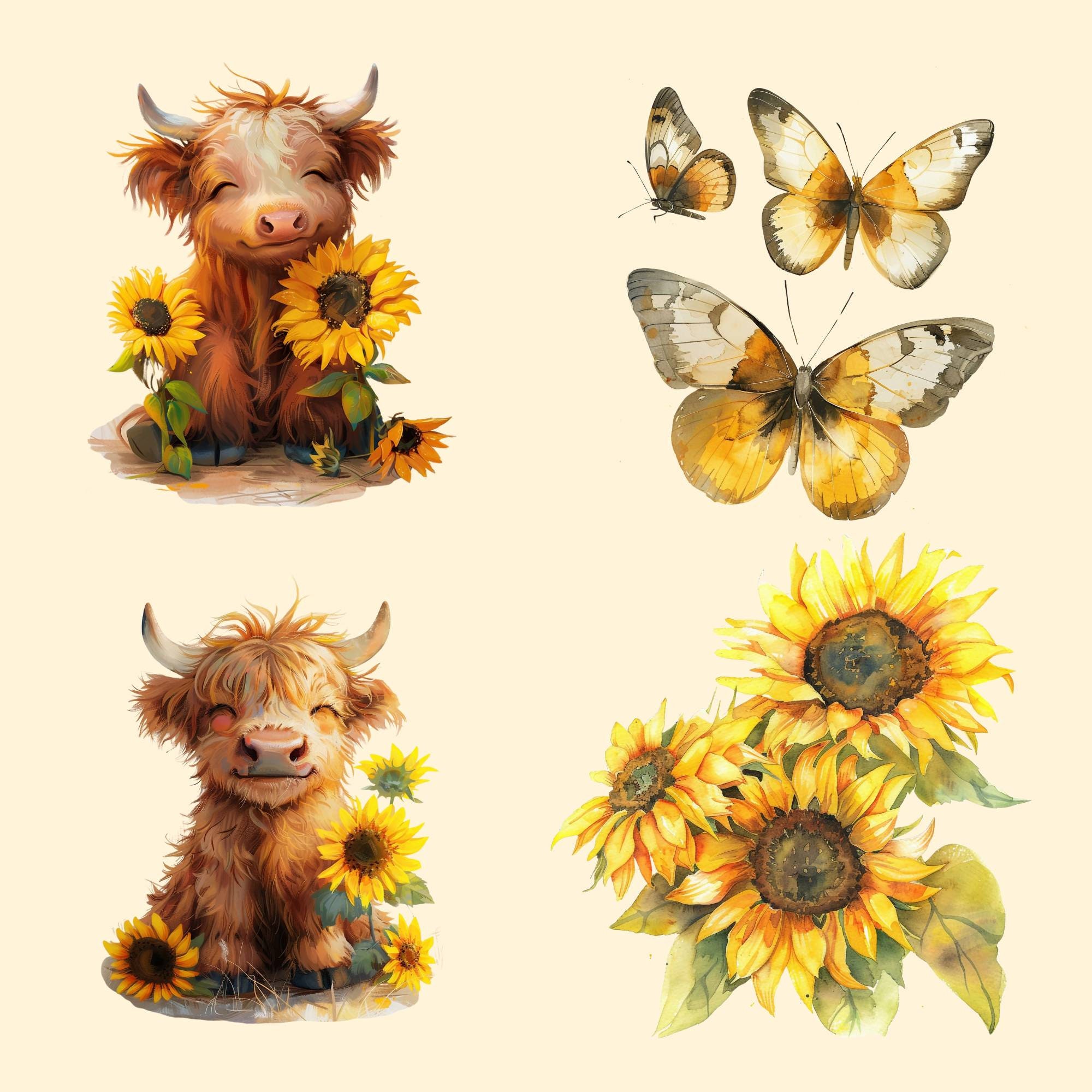 Highland Cow Clipart, Cow Png, Baby Animal Clipart, Sunflower Clipart ...