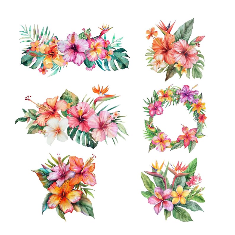 Watercolor Tropical Flower Clipart: Hibiscus PNG Bundle (digital ...