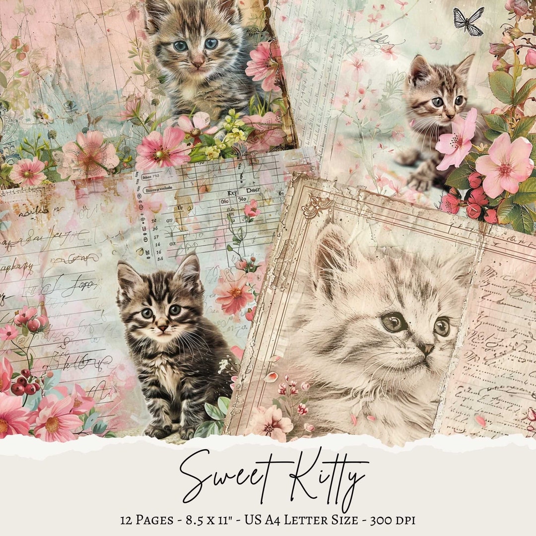 Kitten Cat Junk Journal, Scrappy Papers, Cat Paper, Cat Ephemera, Cat ...