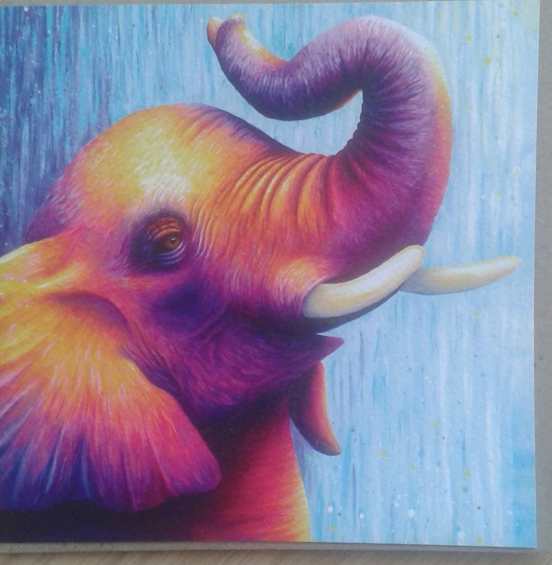 Rainbow Elephant Blank Card by Rachel Froud A Wraptious Artist - Etsy